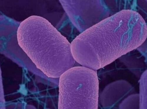 Events | archaea.bio