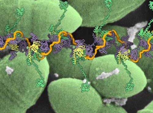 Events | archaea.bio